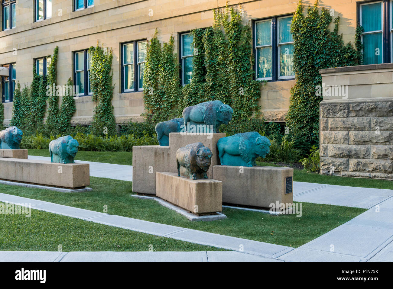 Buffalo Trails public art installation, sculpture, downtown Calgary ...