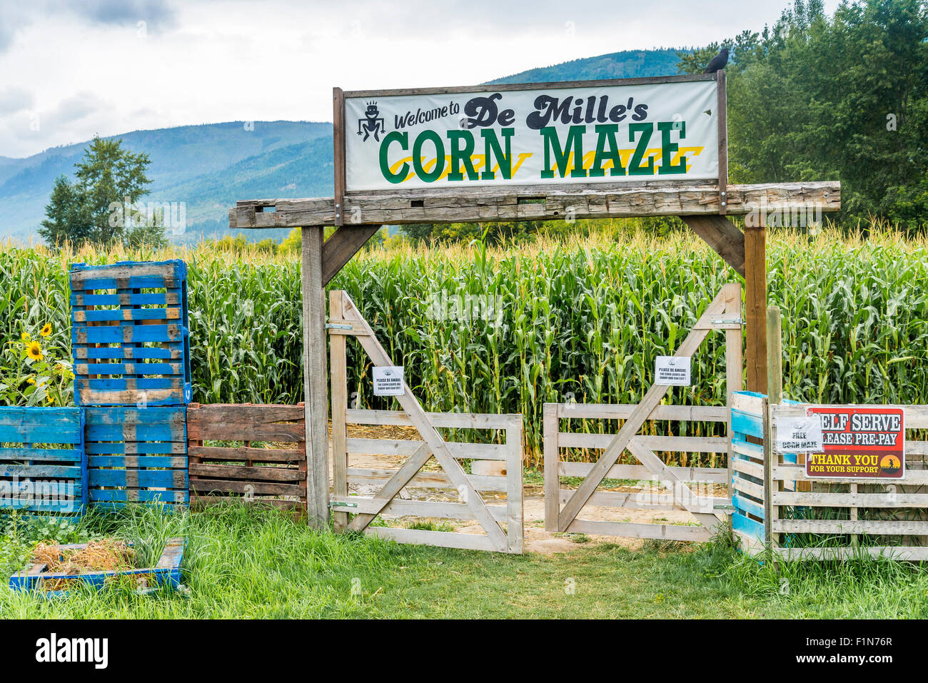 Old Wooden Corn Maze Signs Lake County, Illinois, CVB Official