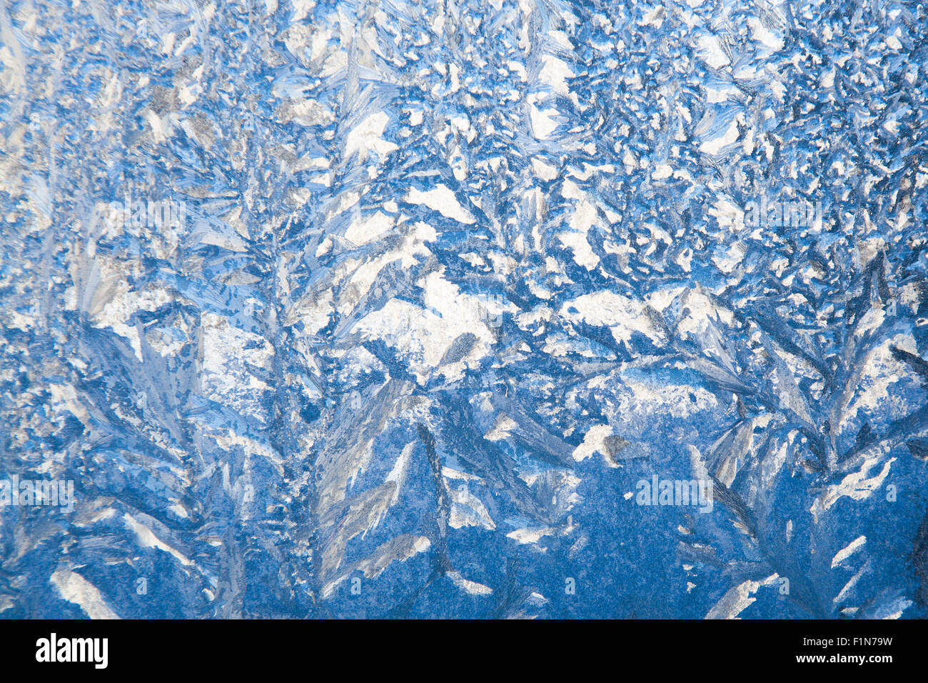 Heavy frost pattern spread across a window with a blue background Stock ...
