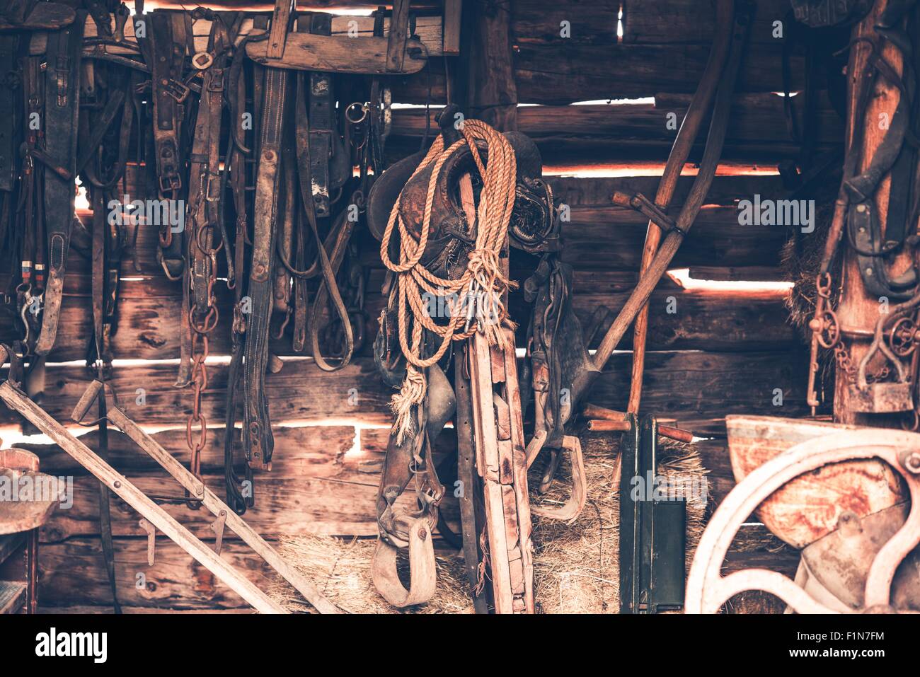 Old Barn Stuff. Vintage Barn Accessories. Leather Belts and Ropes on ...