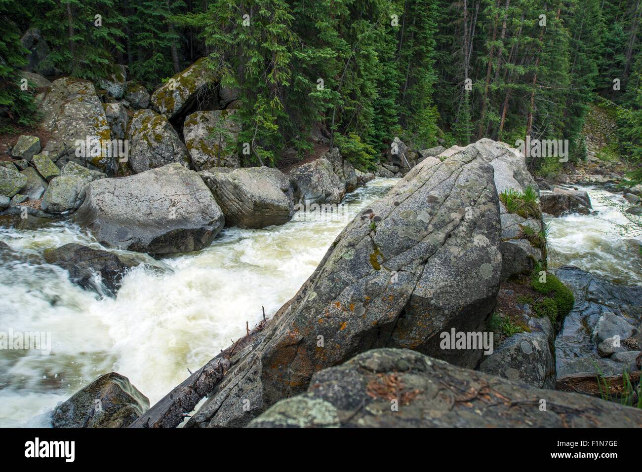 Colorado Mountain River. Alpine Mountain Stream Stock Photo - Alamy