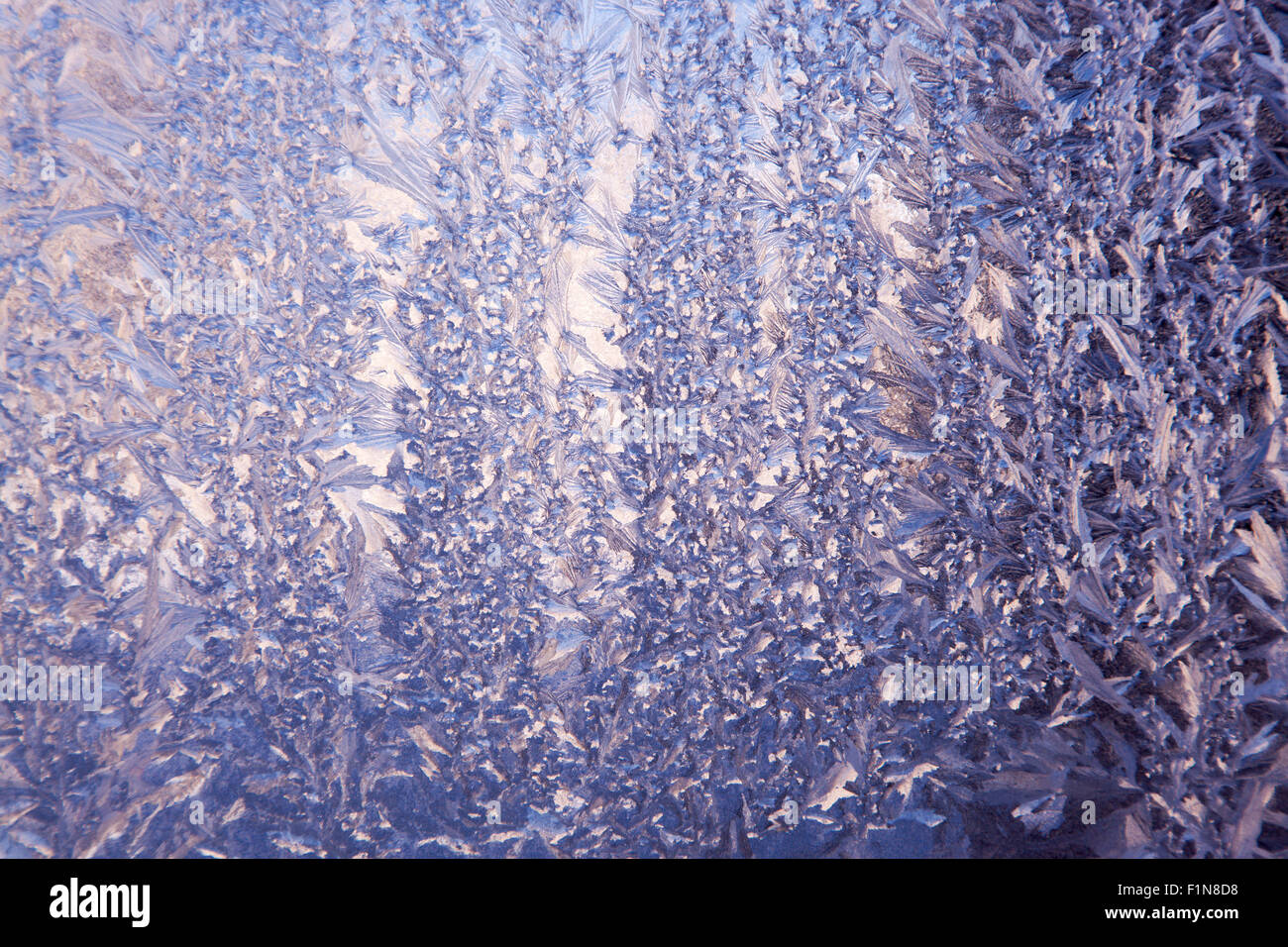 A winter frost pattern spread across glass with a purple background ...