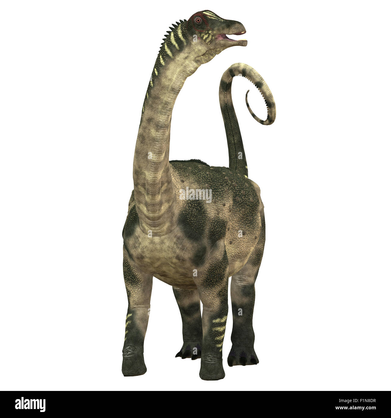 Giant sauropod dinosaur Cut Out Stock Images & Pictures - Alamy
