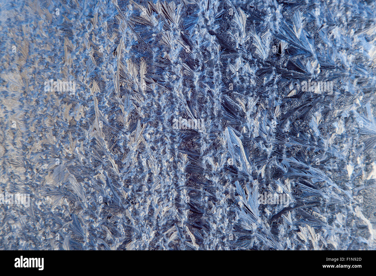 Heavy frost pattern spread across a window with a blue background Stock ...