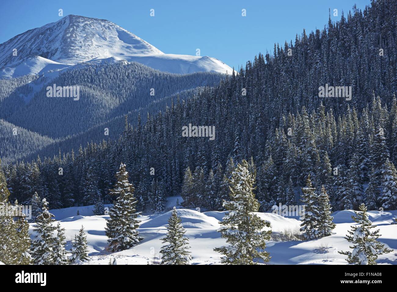 Colorado Countryside. Cold Snowy Winter in Summit County, Colorado ...