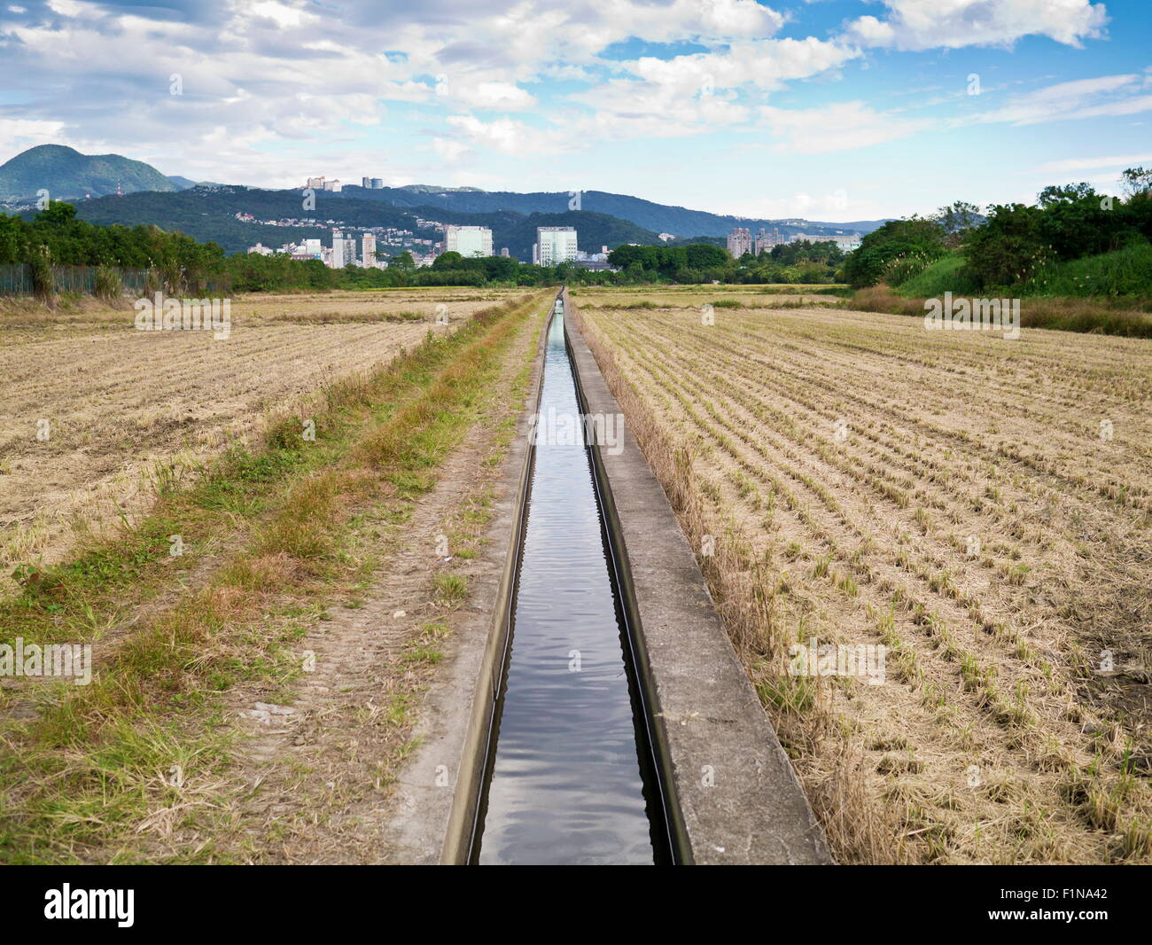 Brown rice field hi-res stock photography and images - Alamy