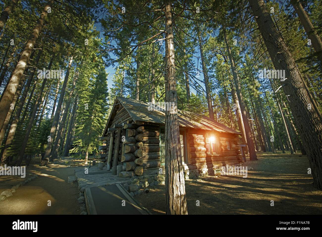 Aged Forest Log Cabin Somewhere in Sierra Nevada Mountains, United ...
