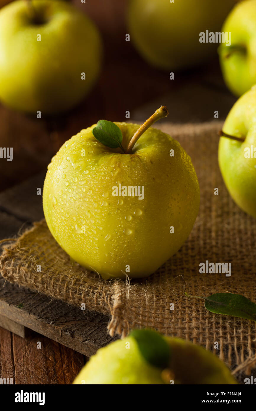 Raw Organic Golden Delicious Apples Ready to Eat Stock Photo - Alamy