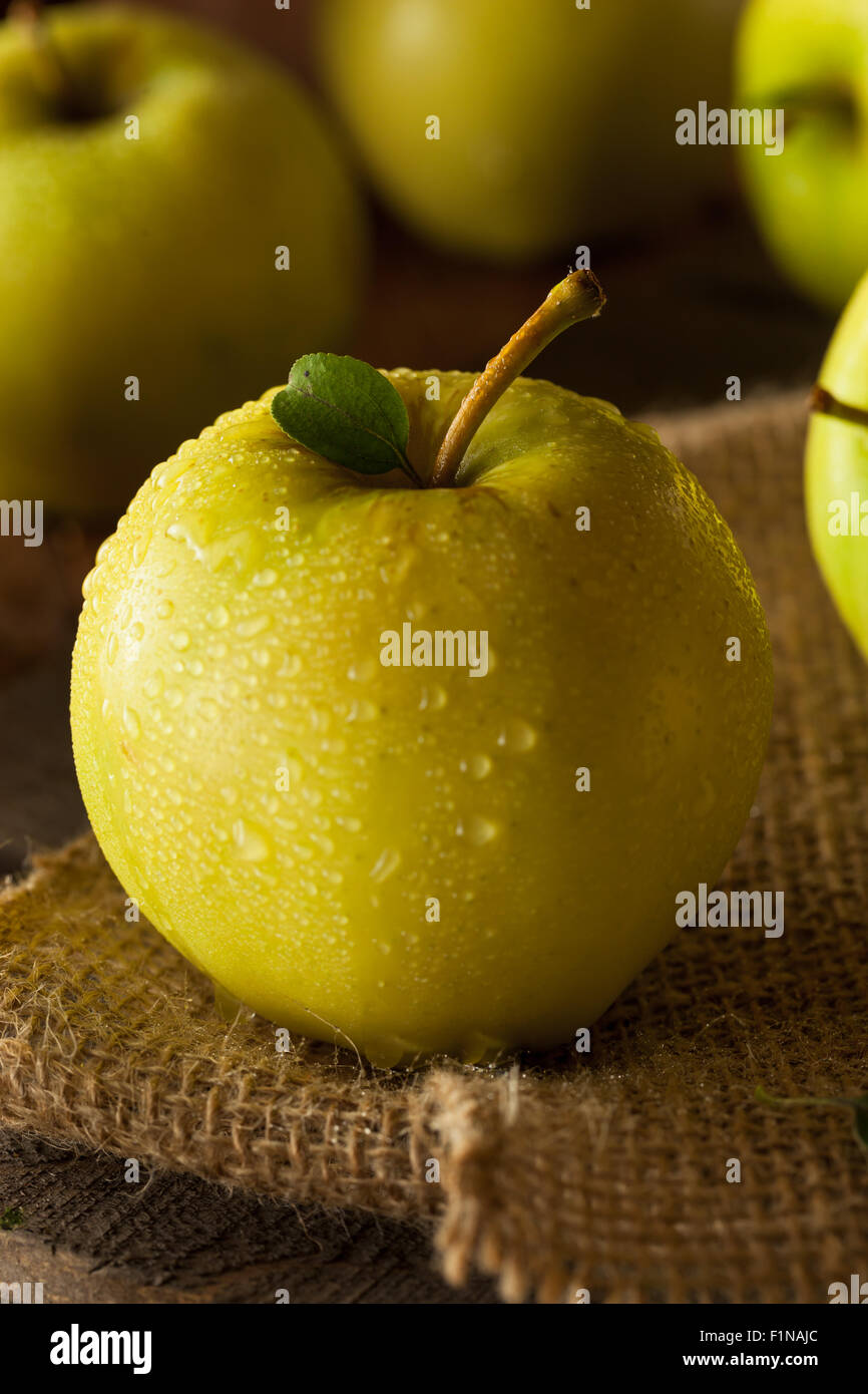 Raw Organic Golden Delicious Apples Ready to Eat Stock Photo - Alamy