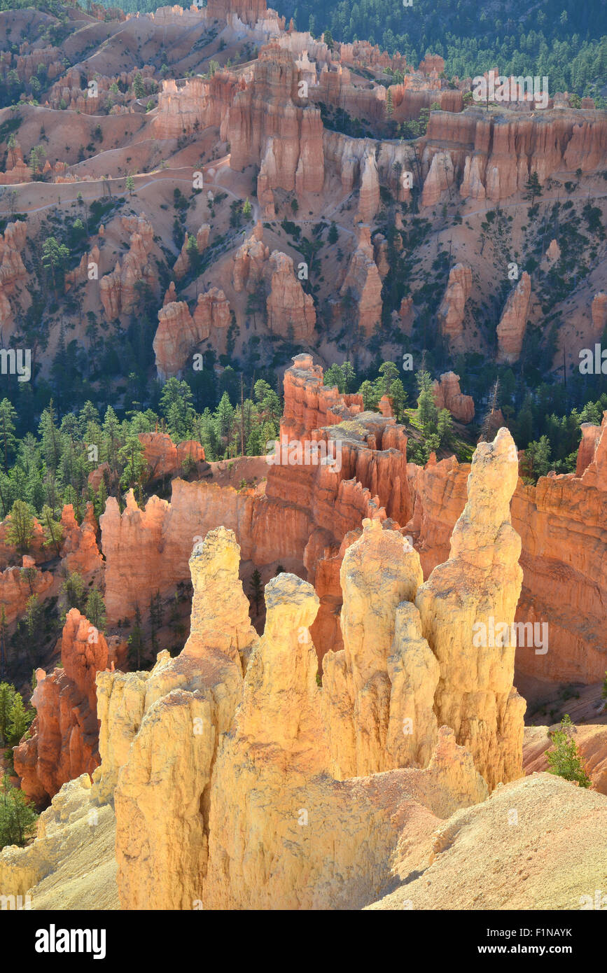 Glowing hoodoos from Rim Trail near Inspiration Point in Bryce Canyon ...