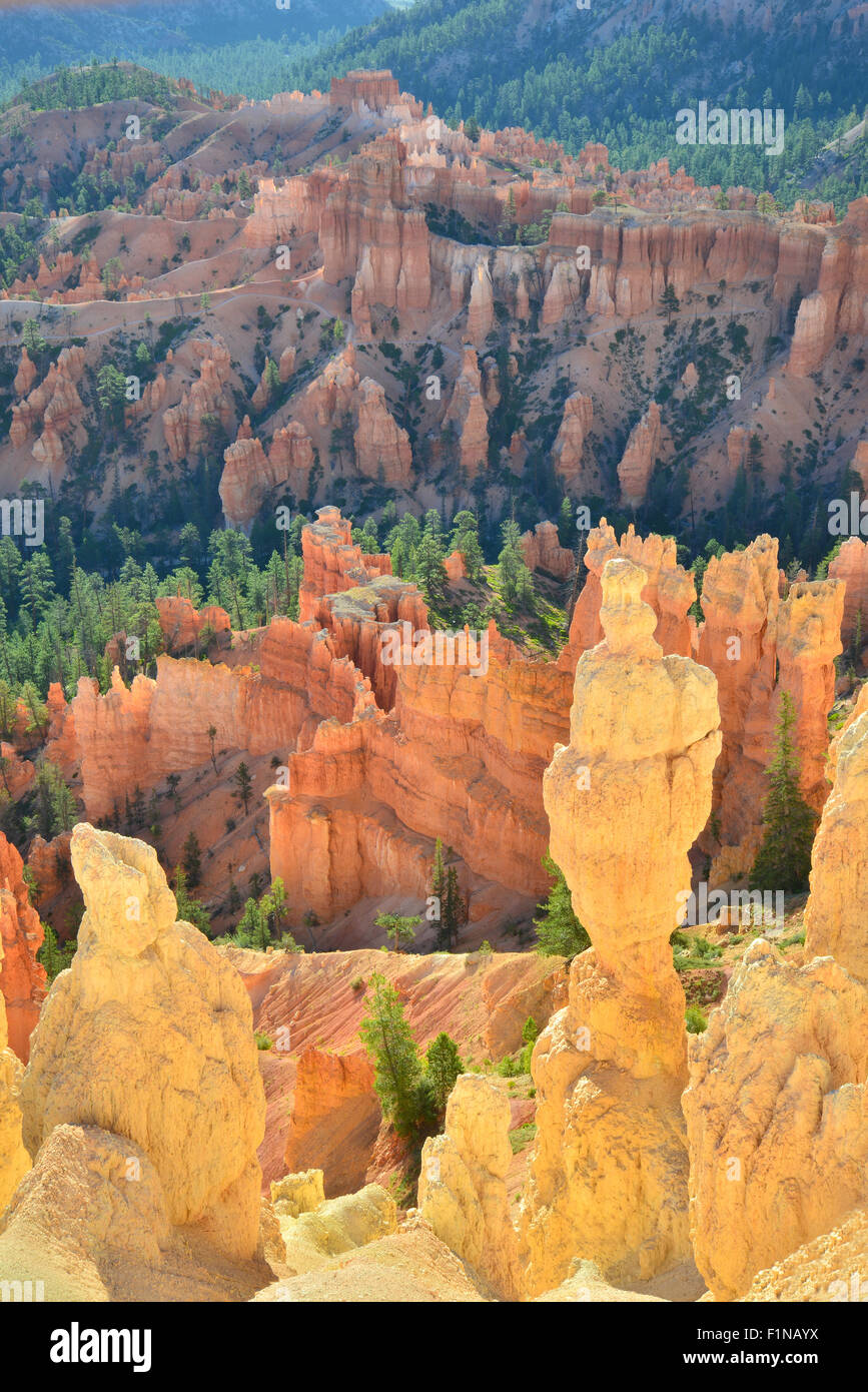 Glowing hoodoos from Rim Trail near Inspiration Point in Bryce Canyon ...