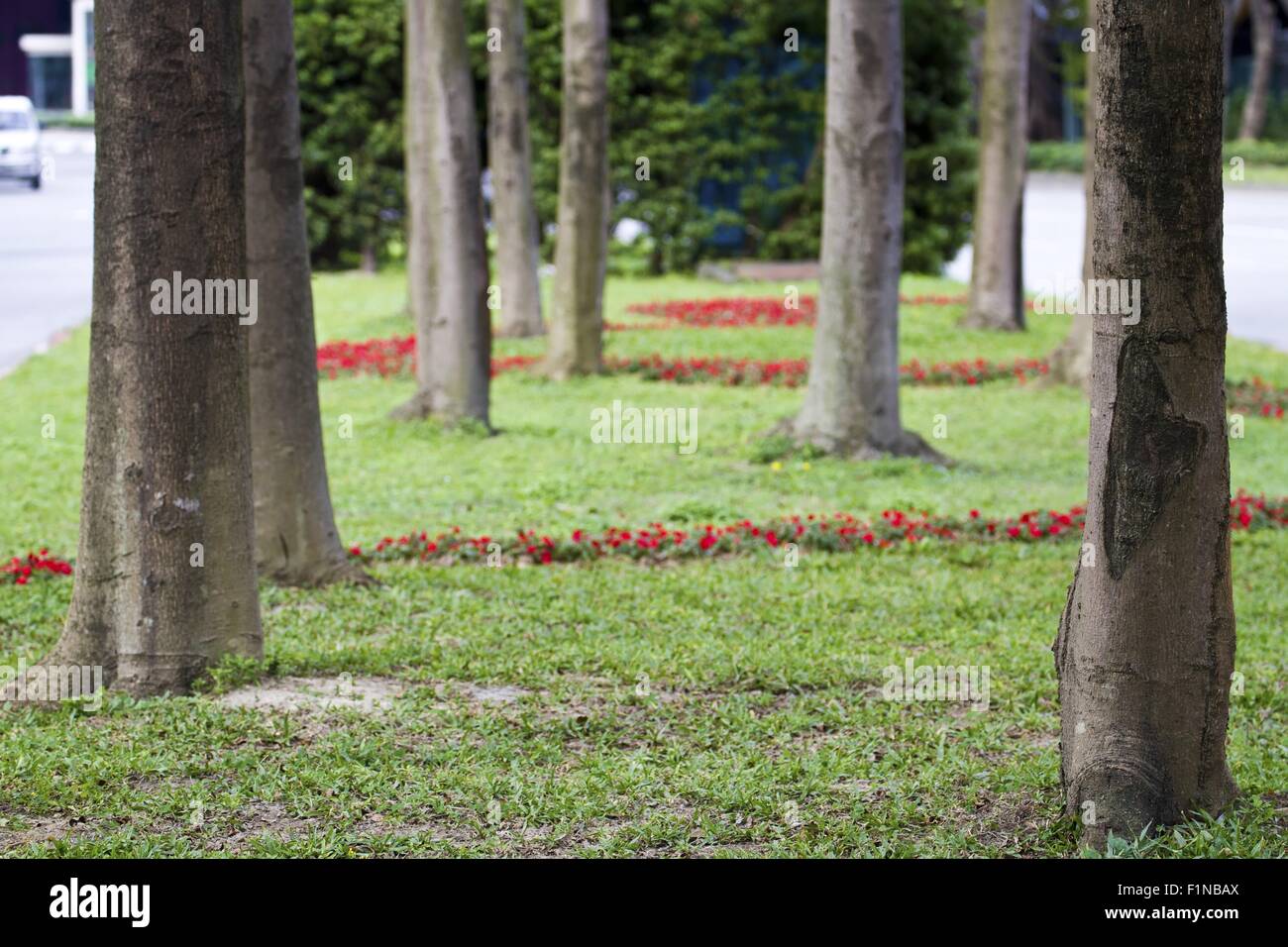 Corner in the forest hi-res stock photography and images - Alamy