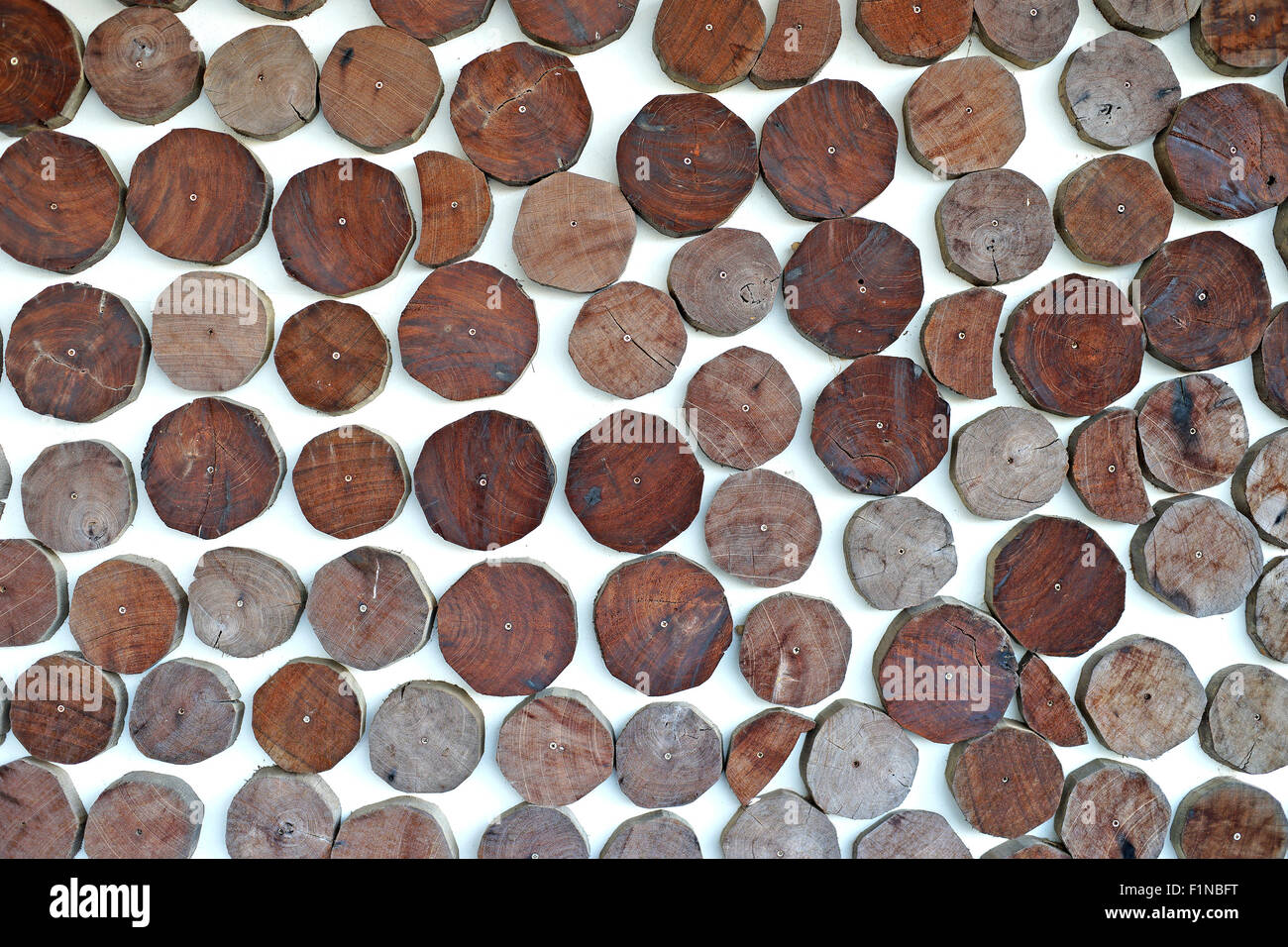 small tree bark on wall as background or texture Stock Photo - Alamy