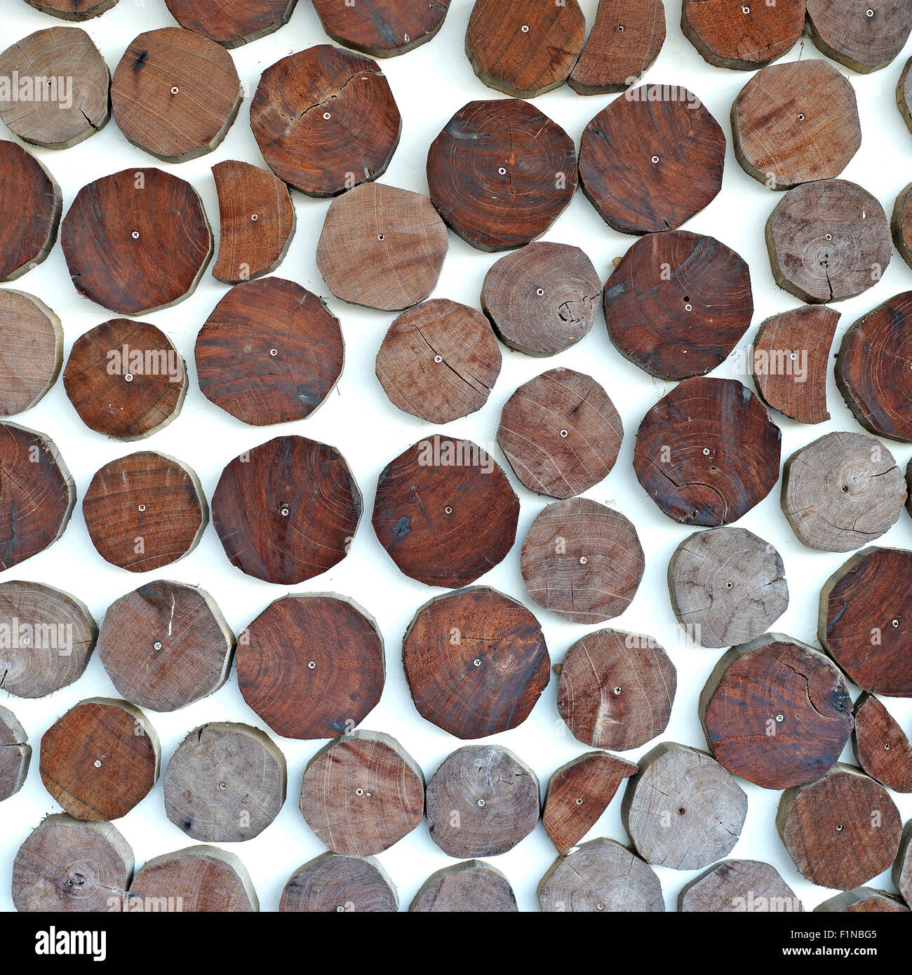 small tree bark on wall as background or texture Stock Photo - Alamy