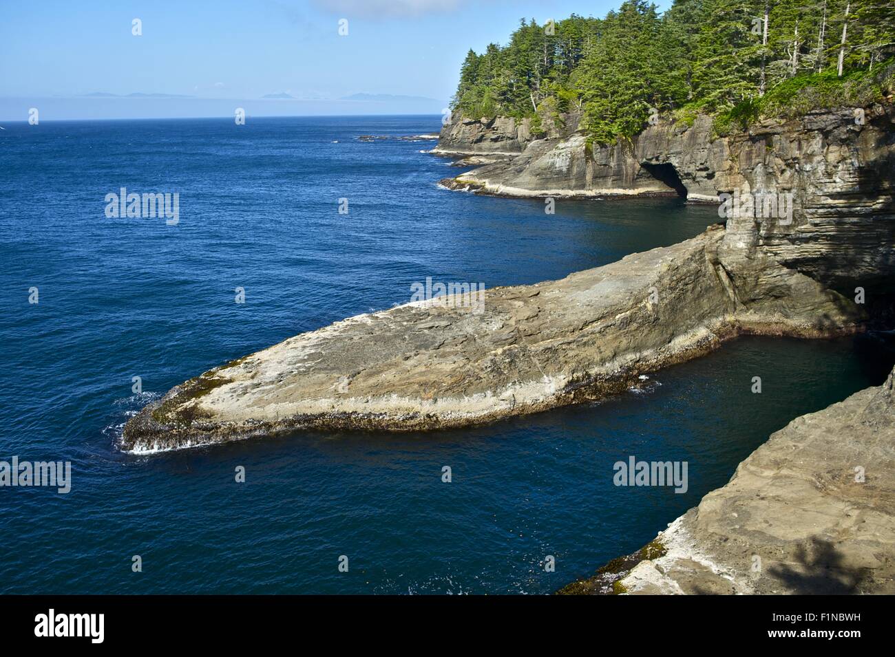 Washington Pacific Coast. Pacific Northwest Landscape Stock Photo - Alamy