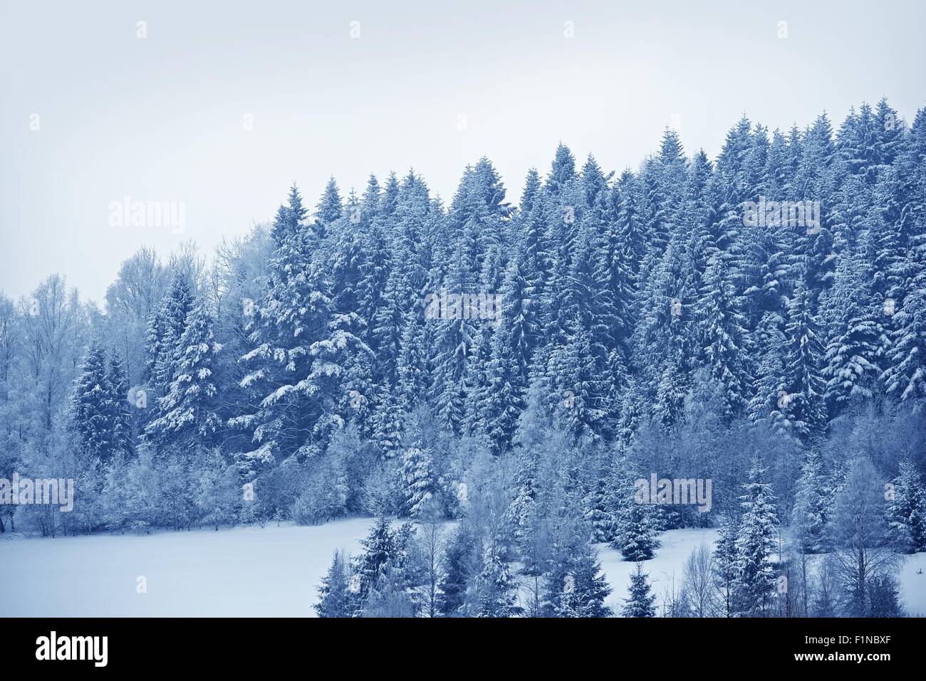 Mountain landscape winter season snow hi-res stock photography and ...
