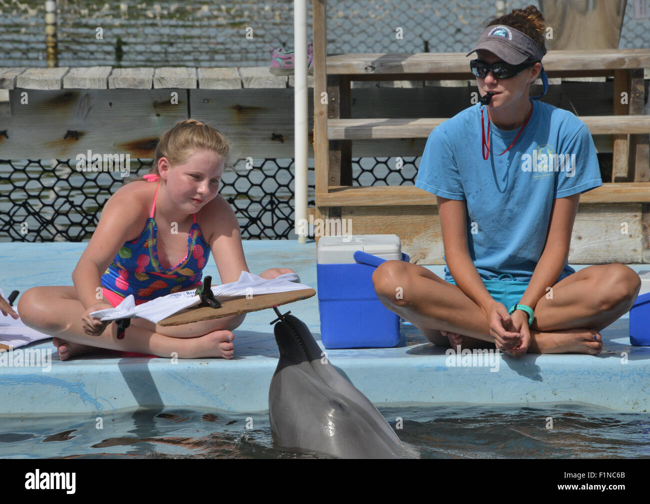 Participants in the dolphin trainer program at the Dolphin Research ...