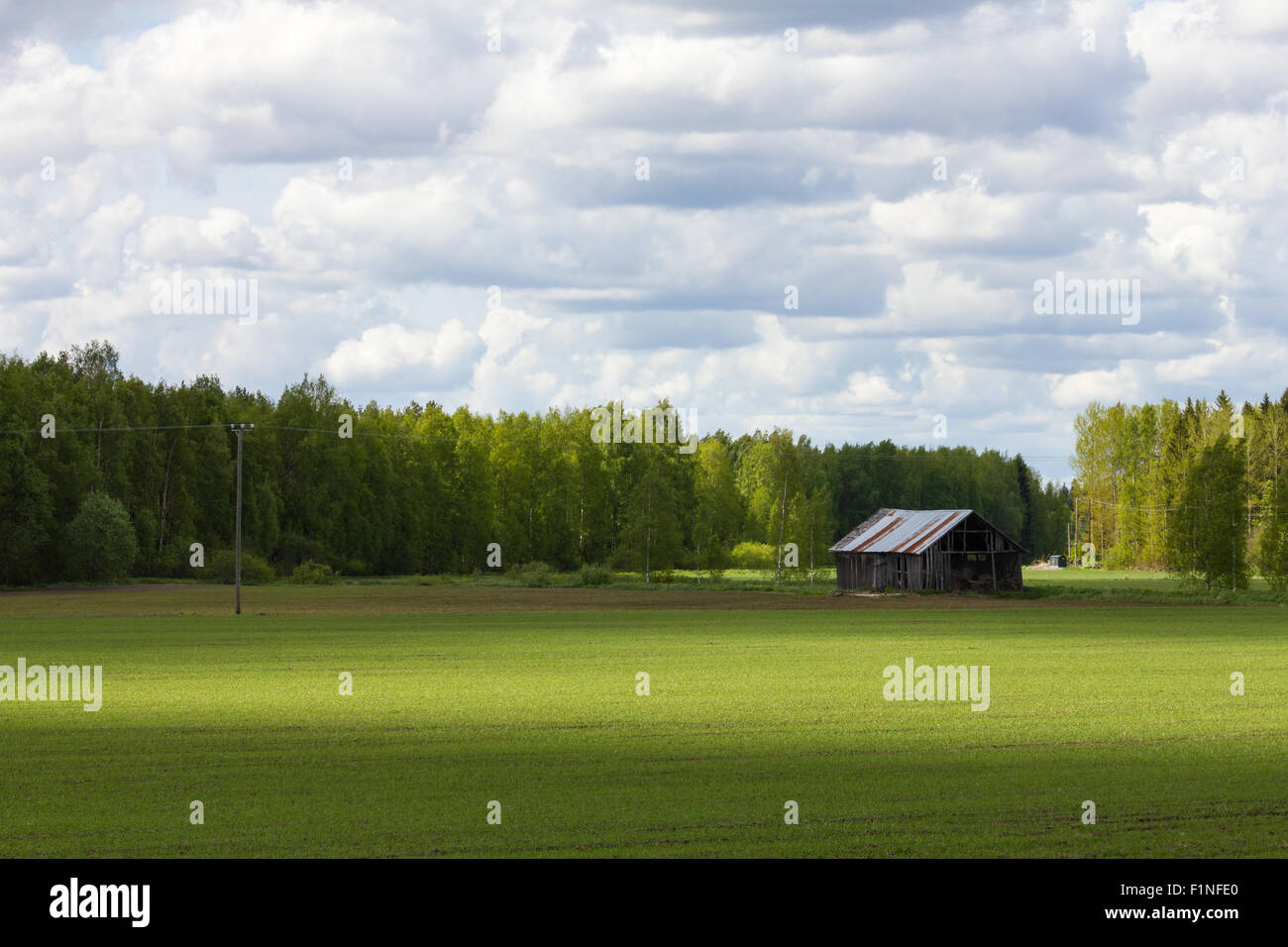Barn farm field forest hi-res stock photography and images - Alamy