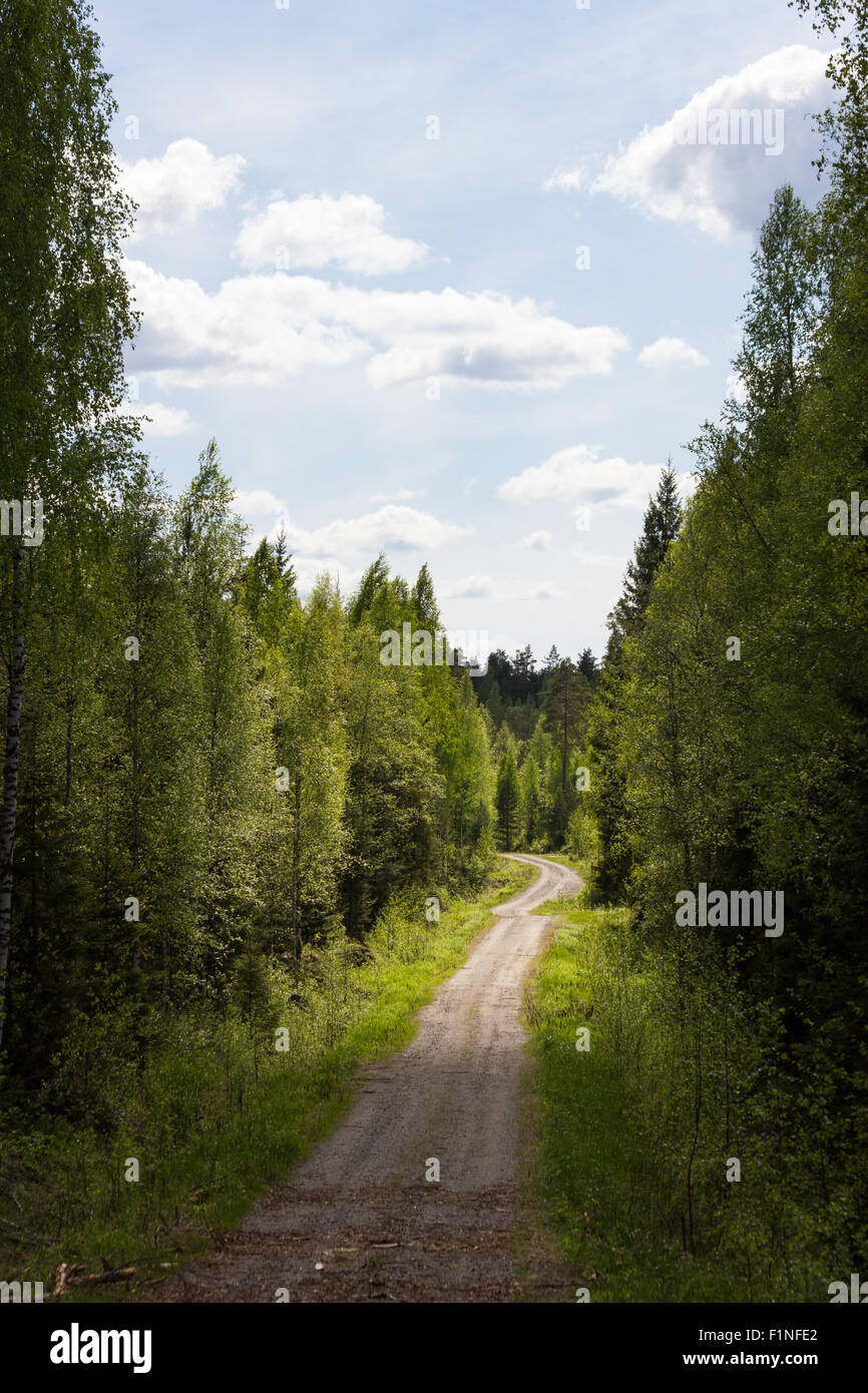 Remote road through the woods Stock Photo - Alamy
