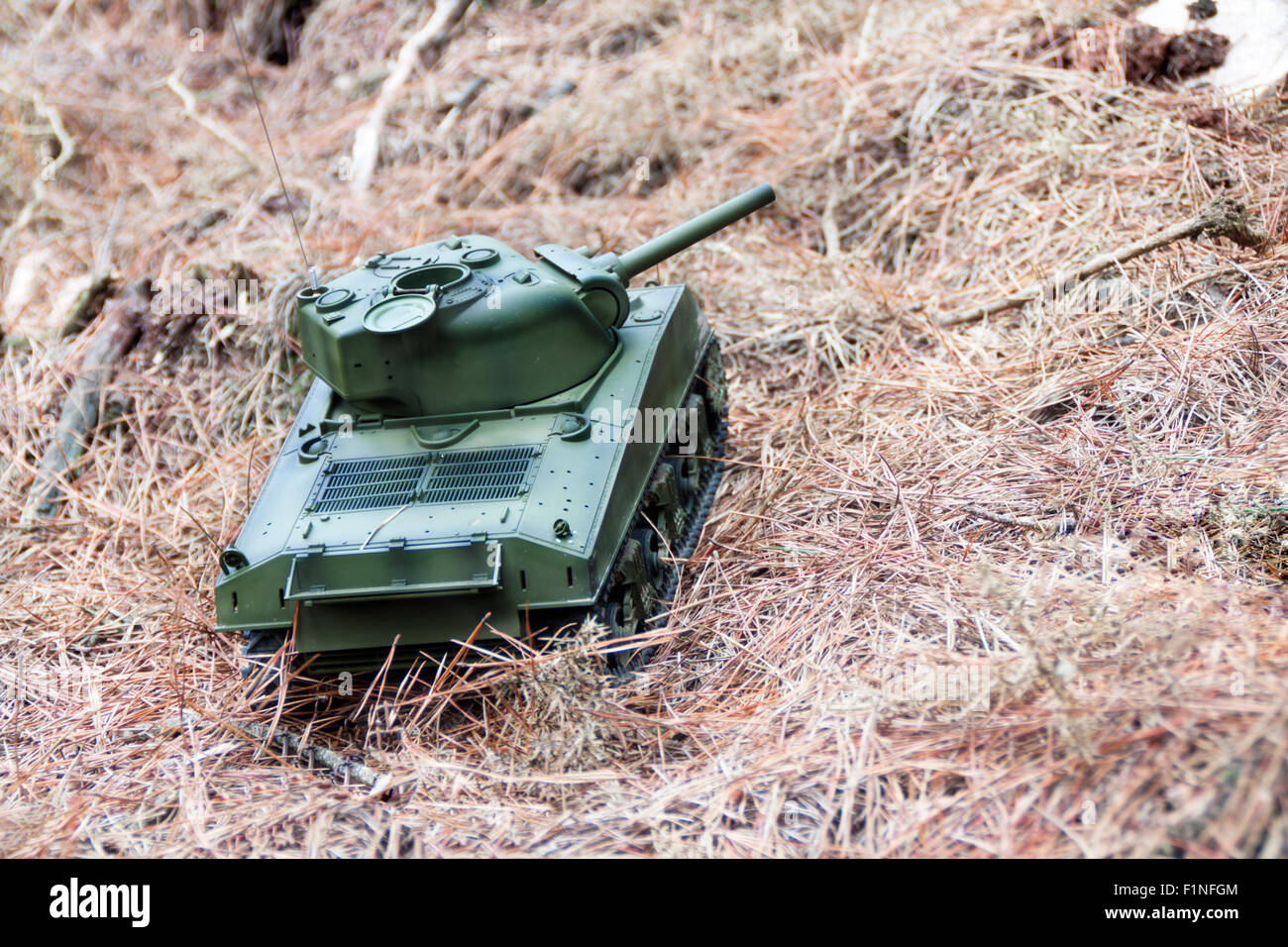 a horizontal view of the back of a tank in a forest Stock Photo - Alamy