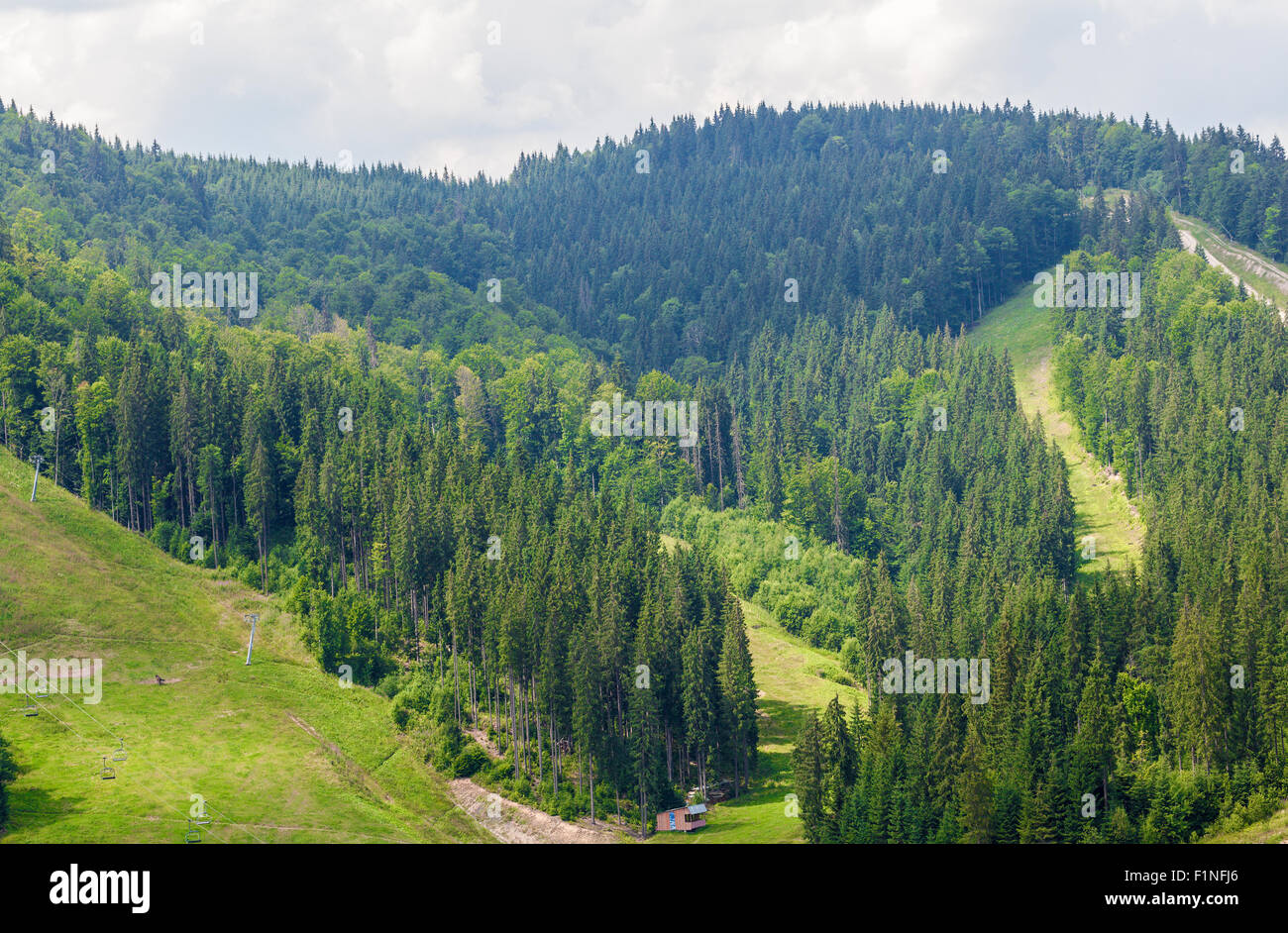 summer landscape Bukovel ski resort from top Stock Photo - Alamy