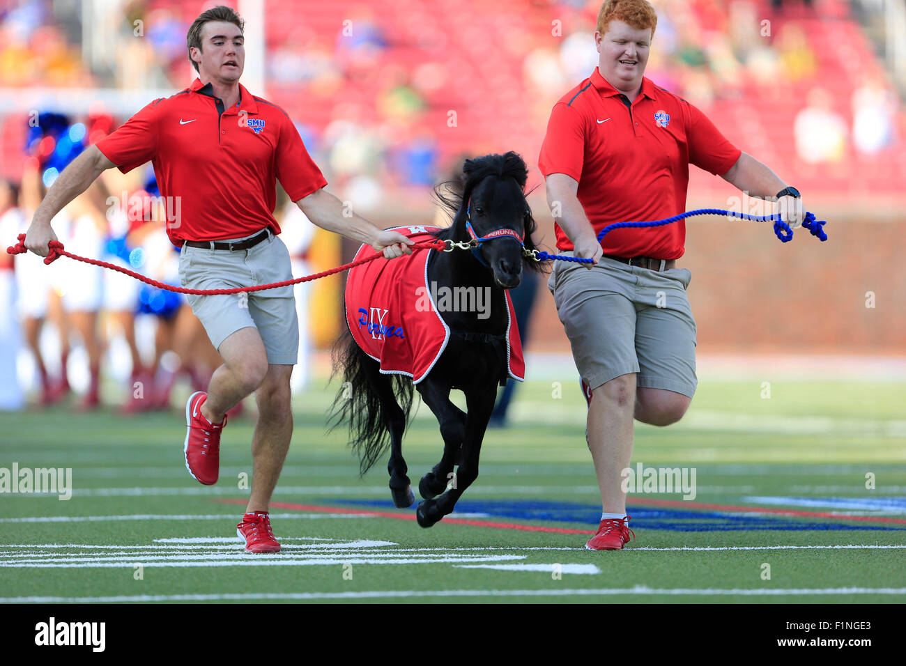 Smu mustangs football 2015 hi-res stock photography and images - Alamy