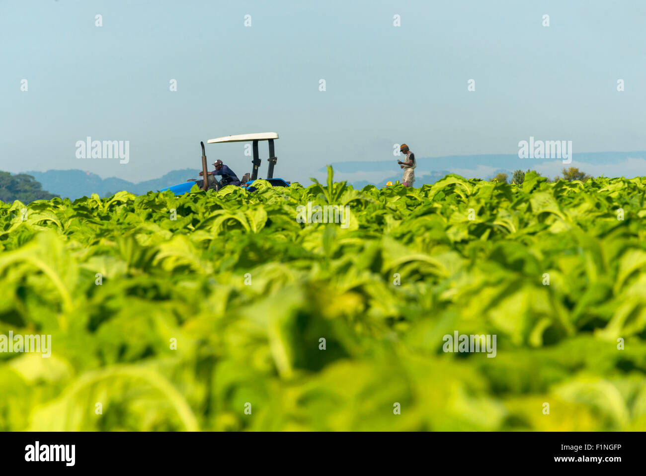 African farming tractor hi-res stock photography and images - Alamy
