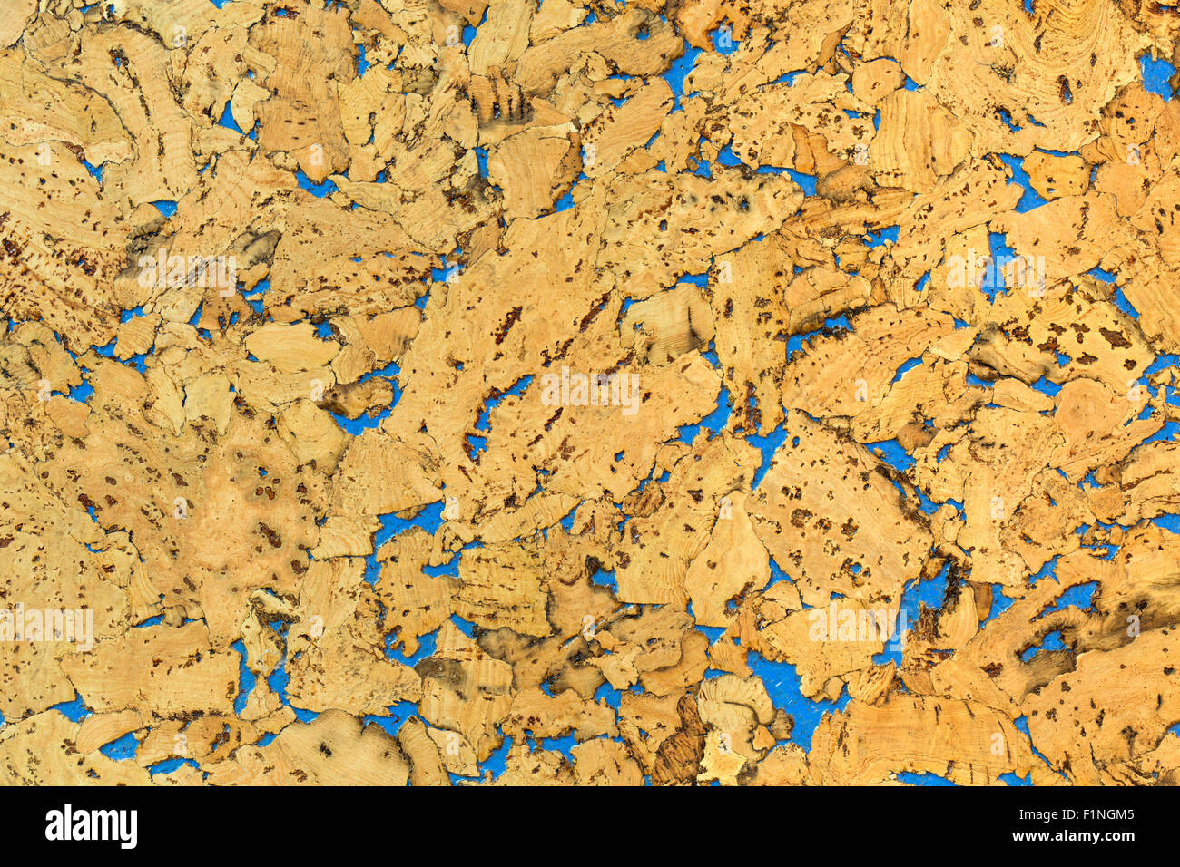 Cork panel hi-res stock photography and images - Alamy