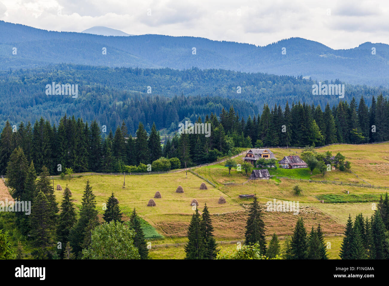 rural landscape, sheaves of hay in the Carpathians Stock Photo - Alamy