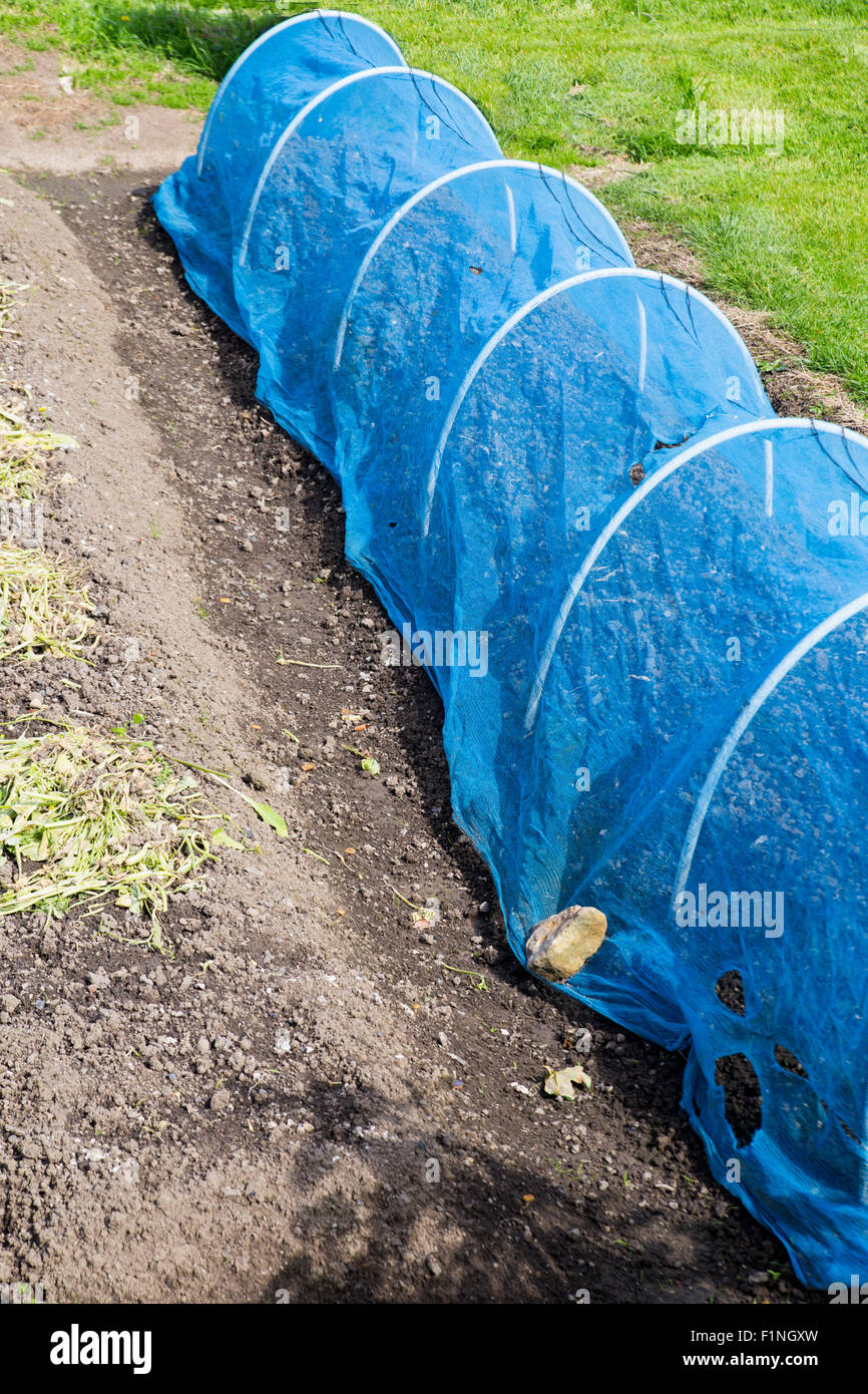 Net tunnel hi-res stock photography and images - Alamy
