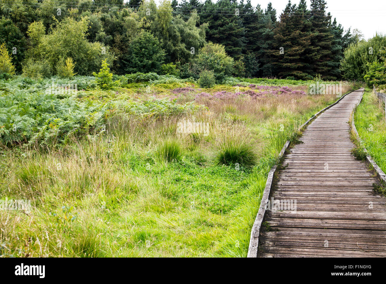 Plank countryside hi-res stock photography and images - Alamy