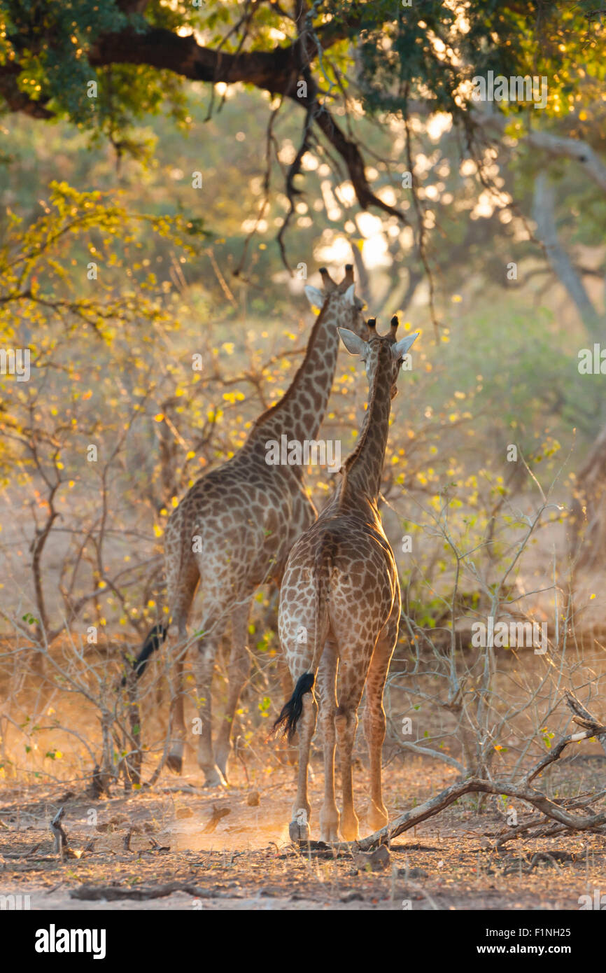 Crooks Corner High Resolution Stock Photography and Images - Alamy