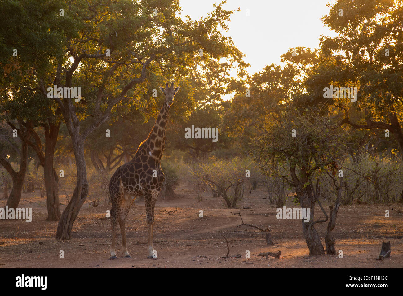 Crooks Corner High Resolution Stock Photography and Images - Alamy