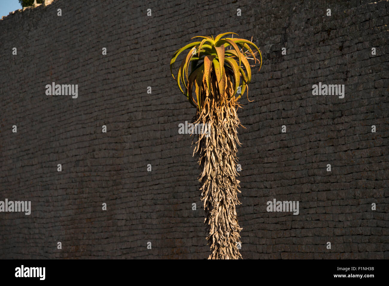 Large houses of stone chiefs' houses kalanga people great enclosure ...
