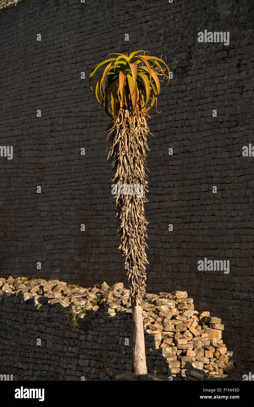 Large houses of stone chiefs' houses kalanga people great enclosure ...