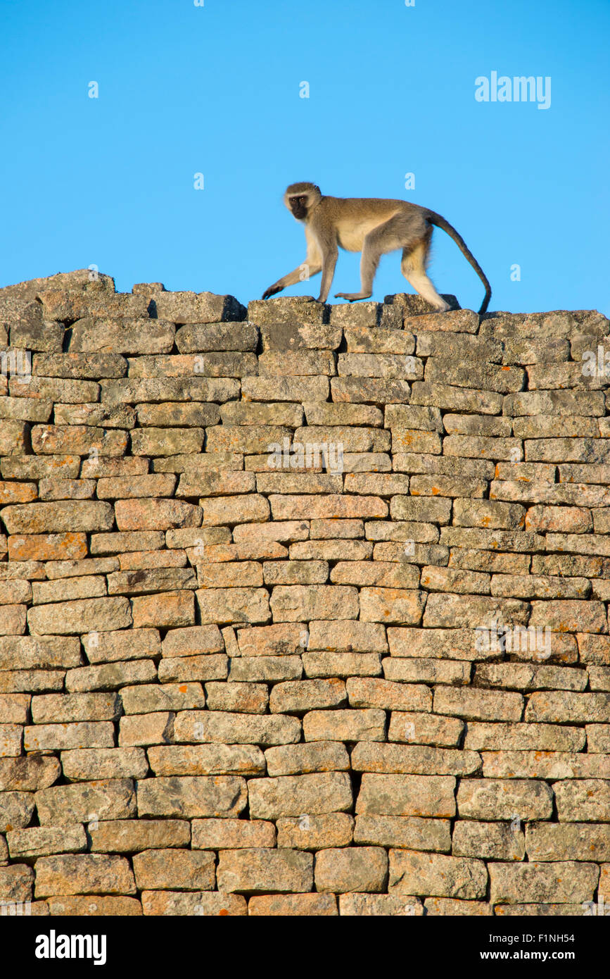 Large houses of stone chiefs' houses kalanga people great enclosure ...