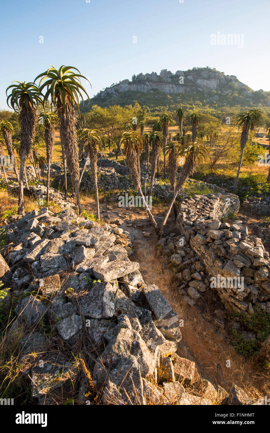 Shona people traditional hi-res stock photography and images - Alamy