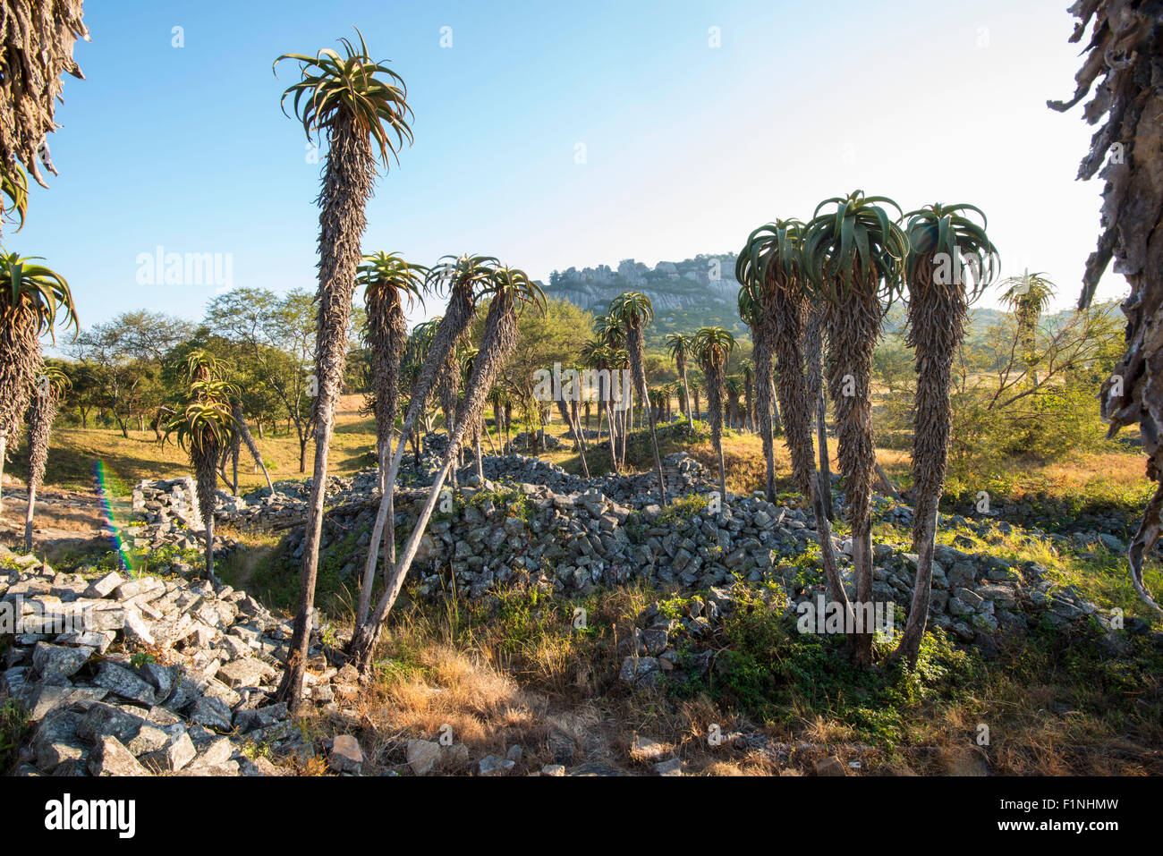 Shona people traditional hi-res stock photography and images - Alamy