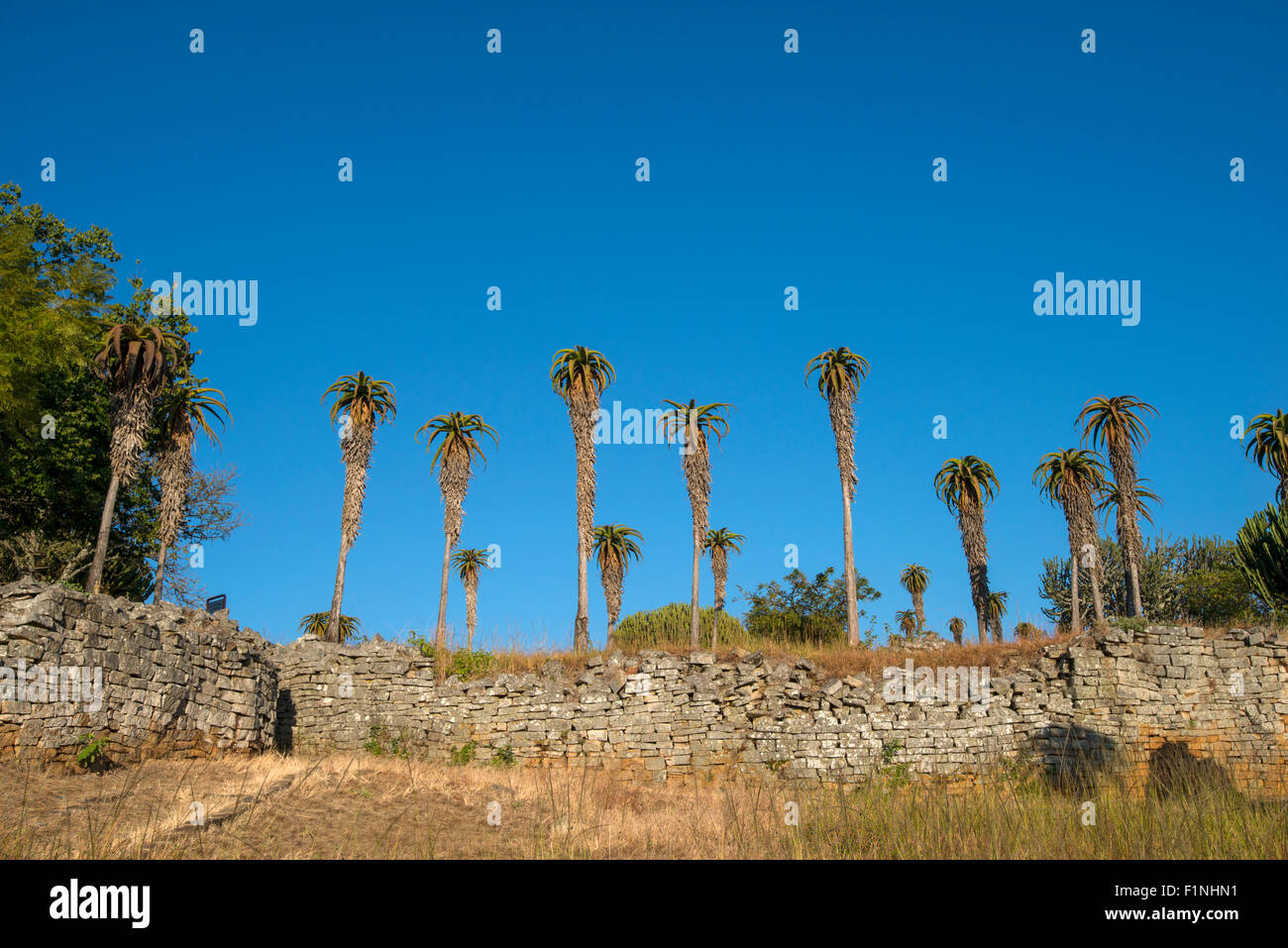 Shona people traditional hi-res stock photography and images - Alamy