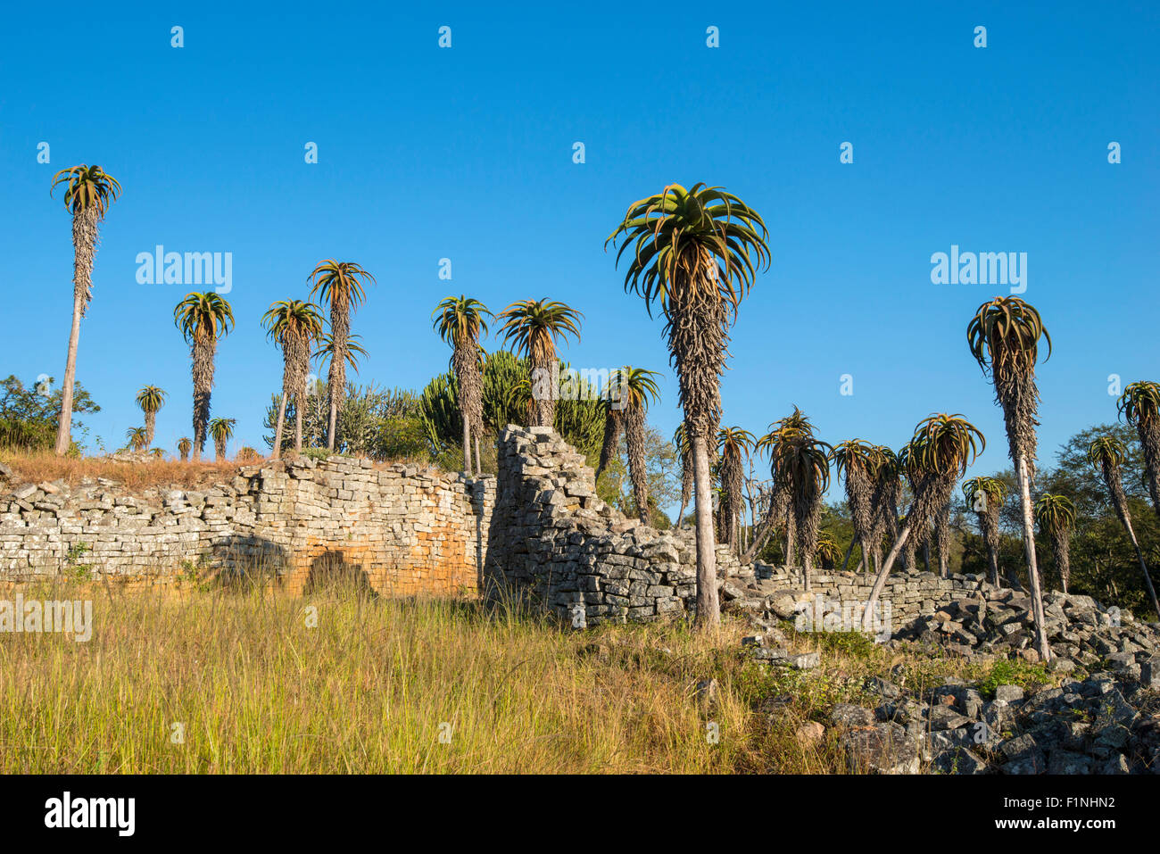 Shona people traditional hi-res stock photography and images - Alamy