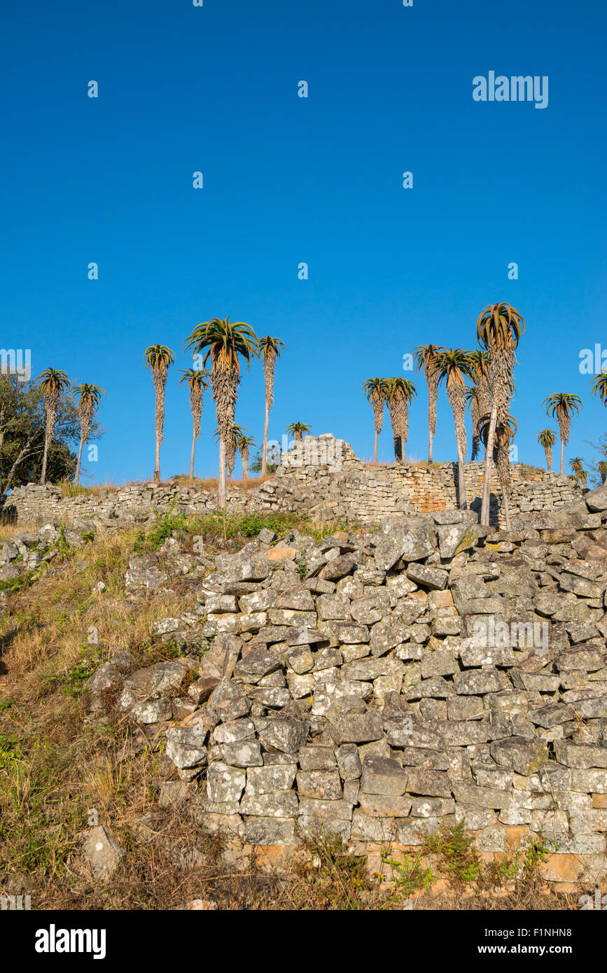 Shona people traditional hi-res stock photography and images - Alamy