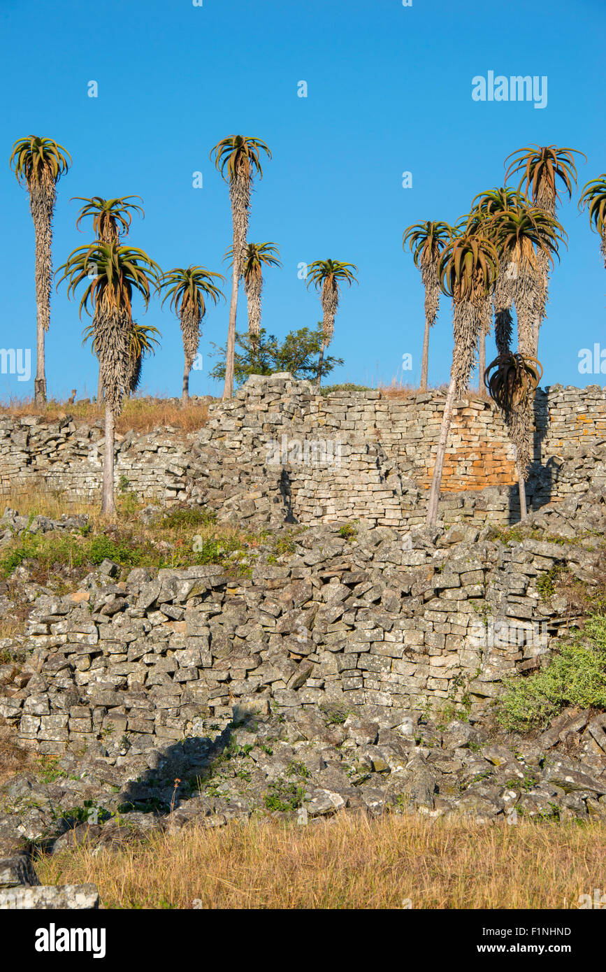 Shona People Traditional High Resolution Stock Photography and Images ...