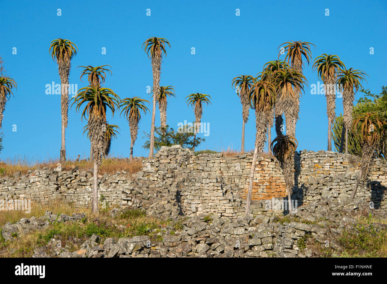 Shona people traditional hi-res stock photography and images - Alamy