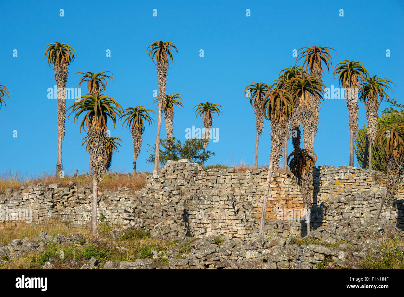 Shona people traditional hi-res stock photography and images - Alamy
