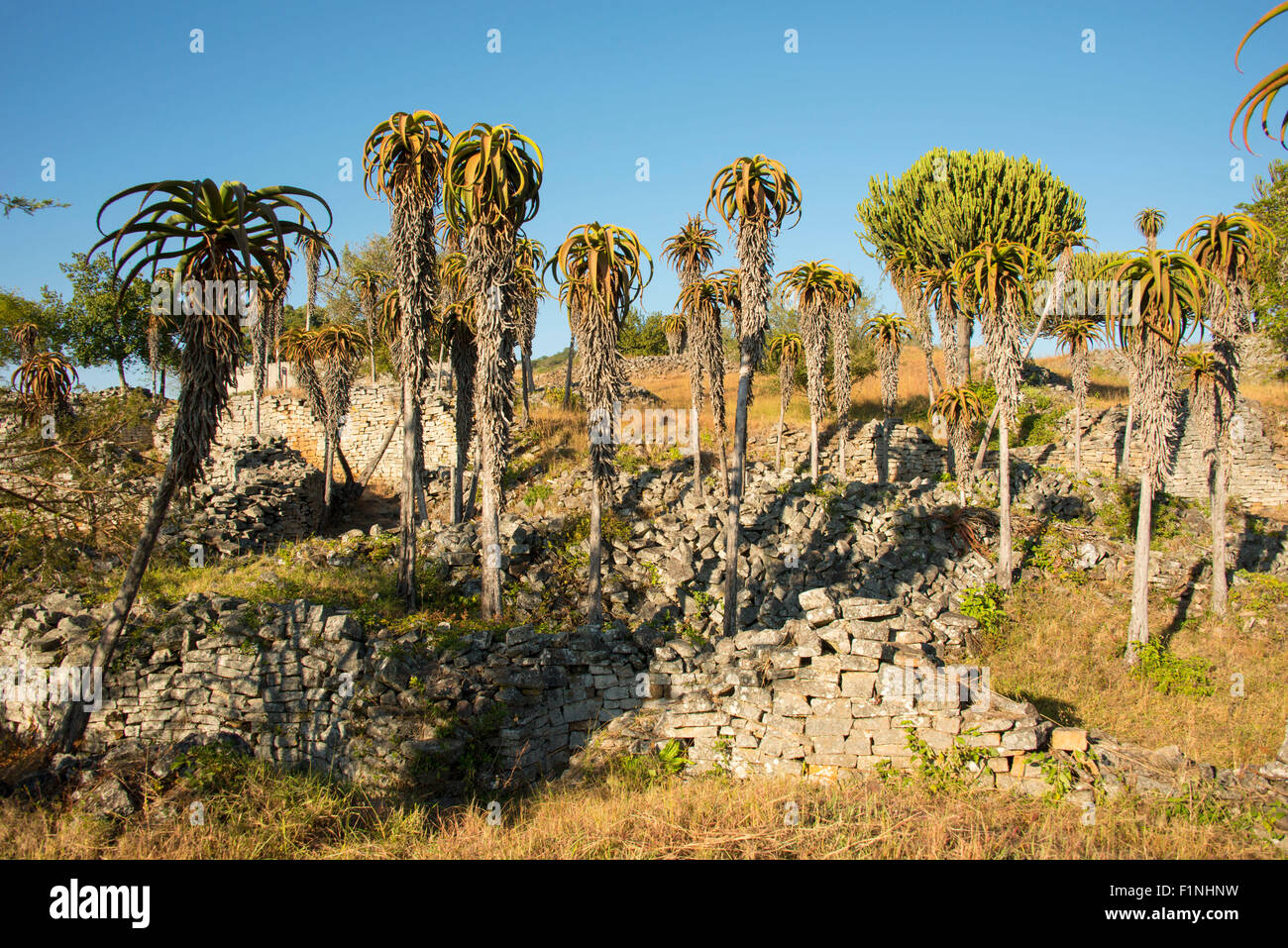 Shona people traditional hi-res stock photography and images - Alamy