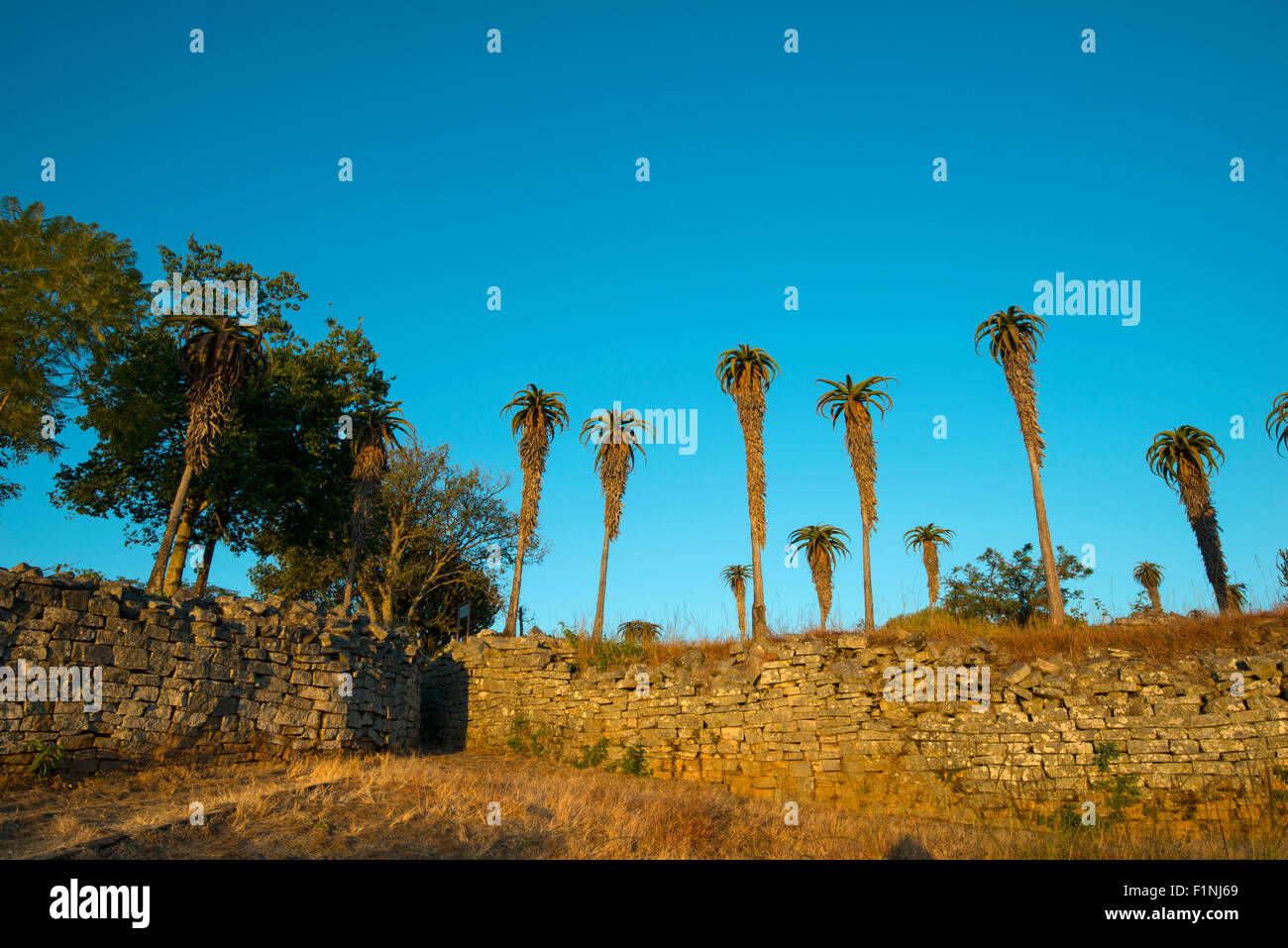 Large houses of stone chiefs' houses kalanga people great enclosure ...
