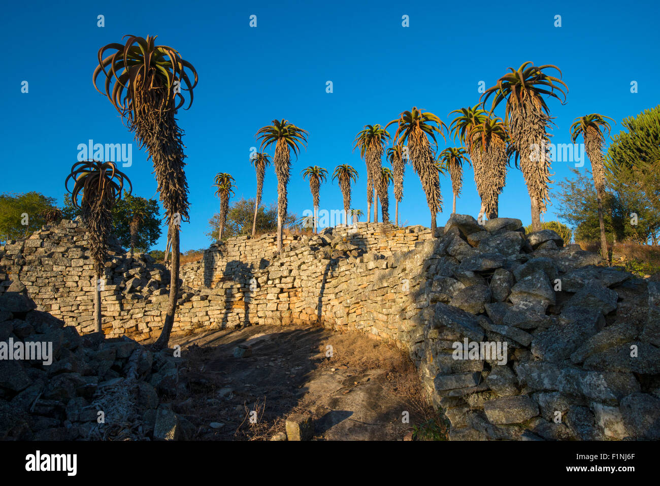 Zimbabwe traditional house hi-res stock photography and images - Alamy