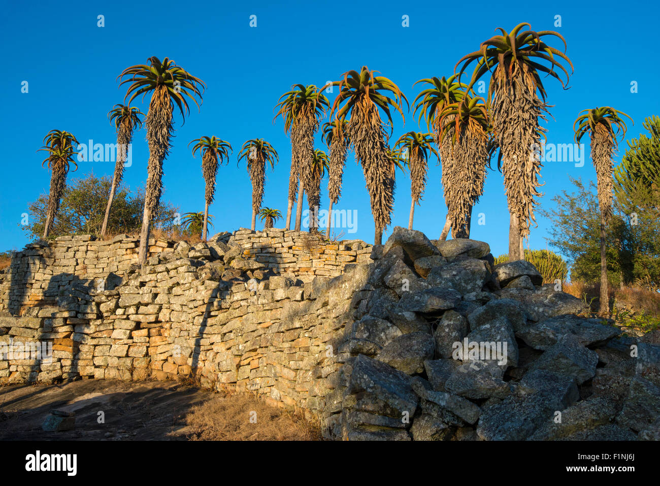 Shona people traditional hi-res stock photography and images - Alamy