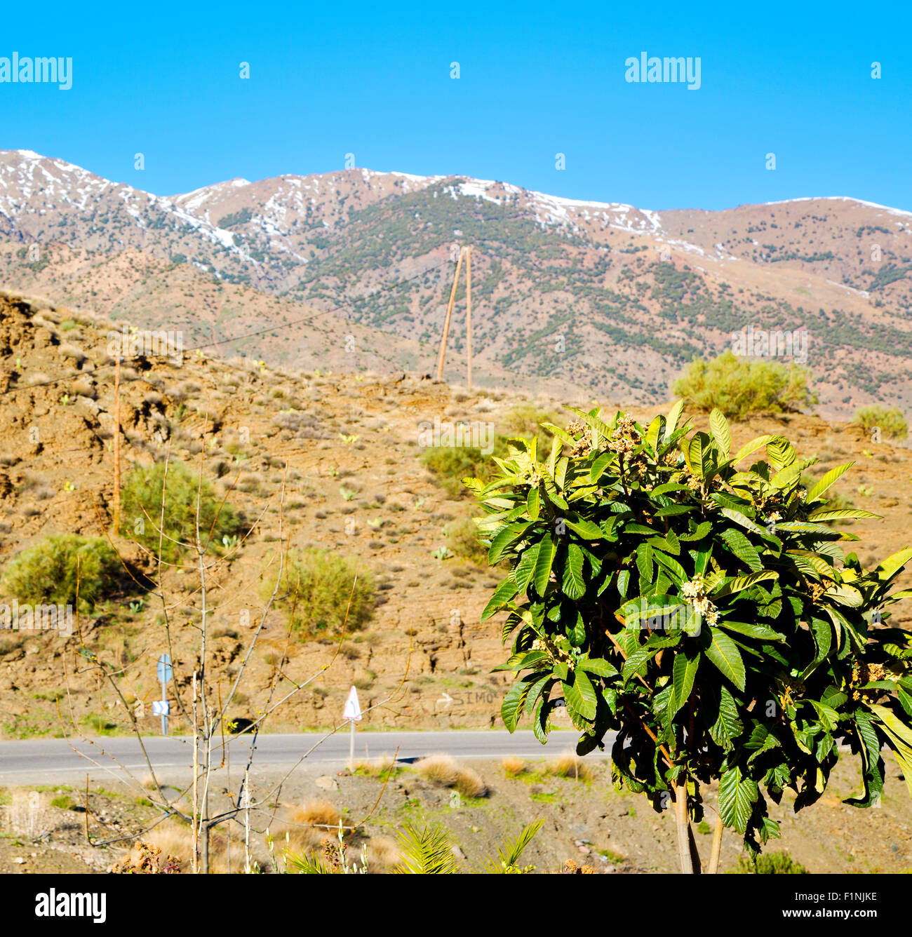 in ground africa morocco the bush dry atlas mountain Stock Photo - Alamy