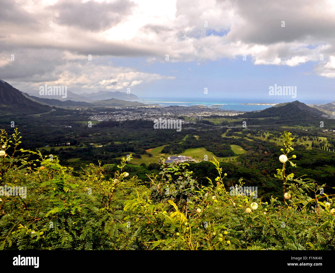 Hawaii Pali Lookout Stock Photo - Alamy